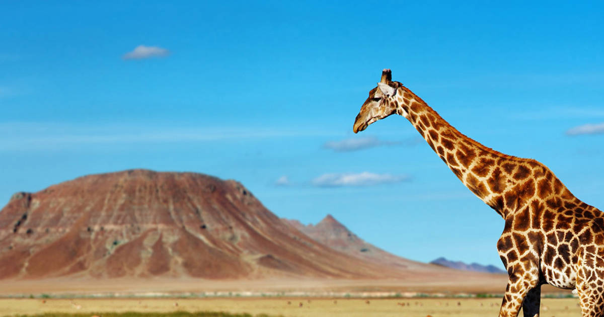 Afrika met kinderen – Unieke familiereizen met Sawadee